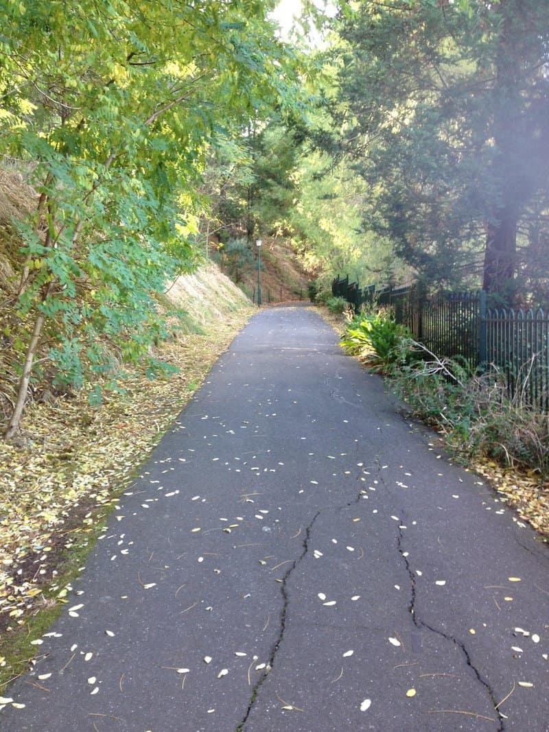 Wilson Botanic Park Lake Walk, Berwick, Vic - Pram Walks