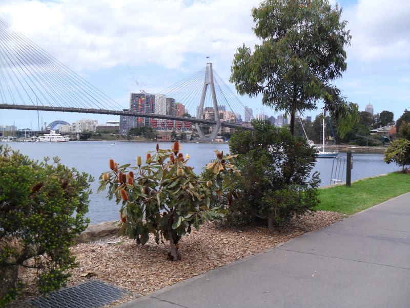 Glebe Foreshore Walk, Sydney, NSW - Pram Walks