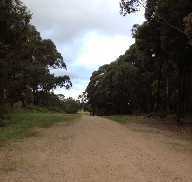 Langwarrin Flora and Fauna Reserve, Vic - Pram Walks