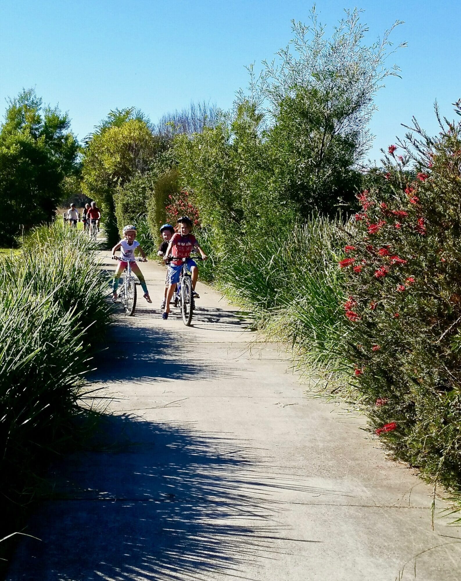 Panboola Wetlands Pram-Friendly Walk | Pambula Nature Walk | Pramwalks